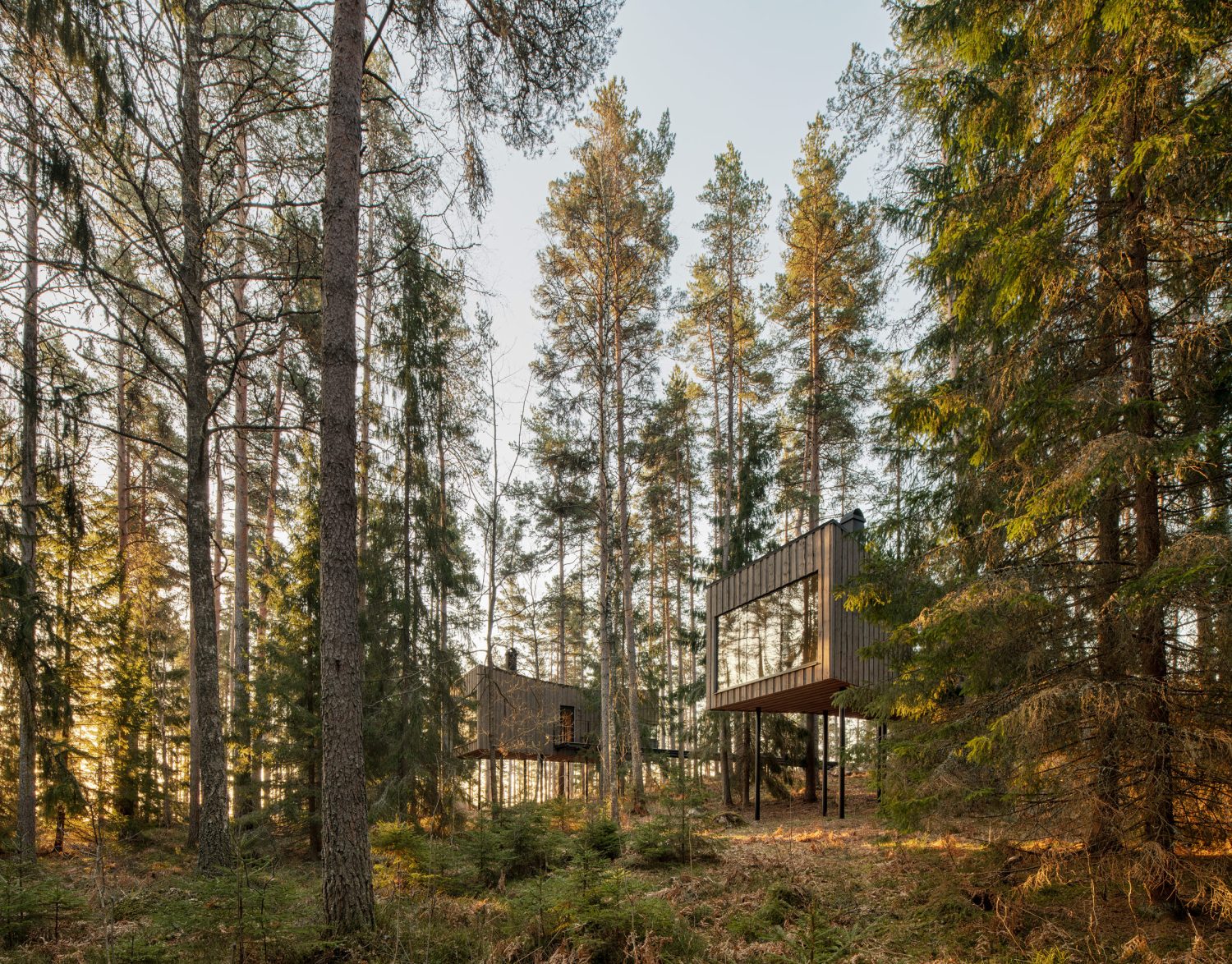 Contact Us - Trakt Forest Hotel